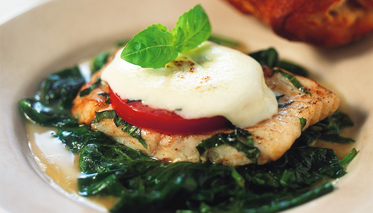 Mozzarellafisk med tomat och basilika | Sjömatsfrämjandet